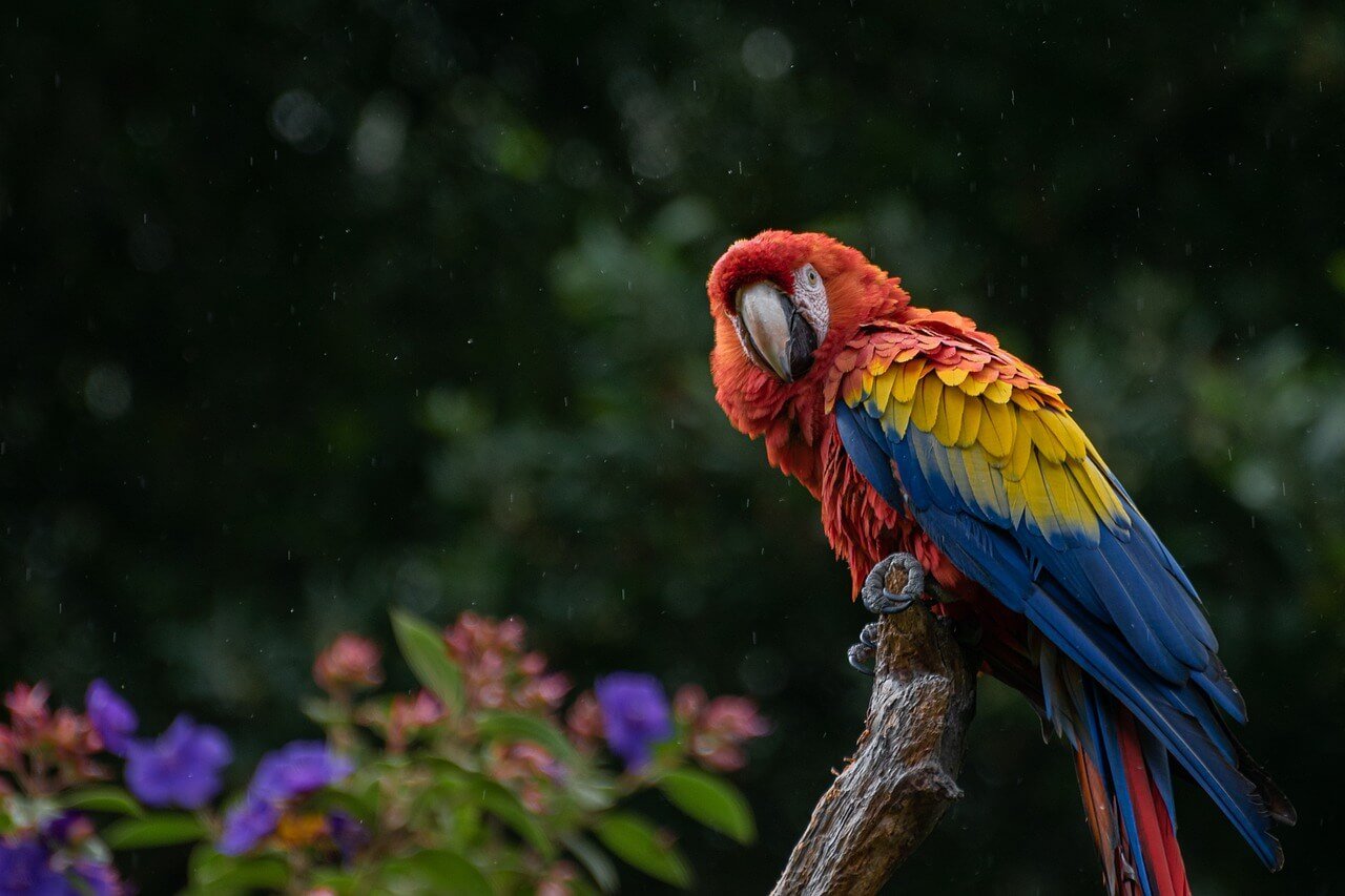 Which animal lives the longest? 15 Animals Older Than Your Grandma!