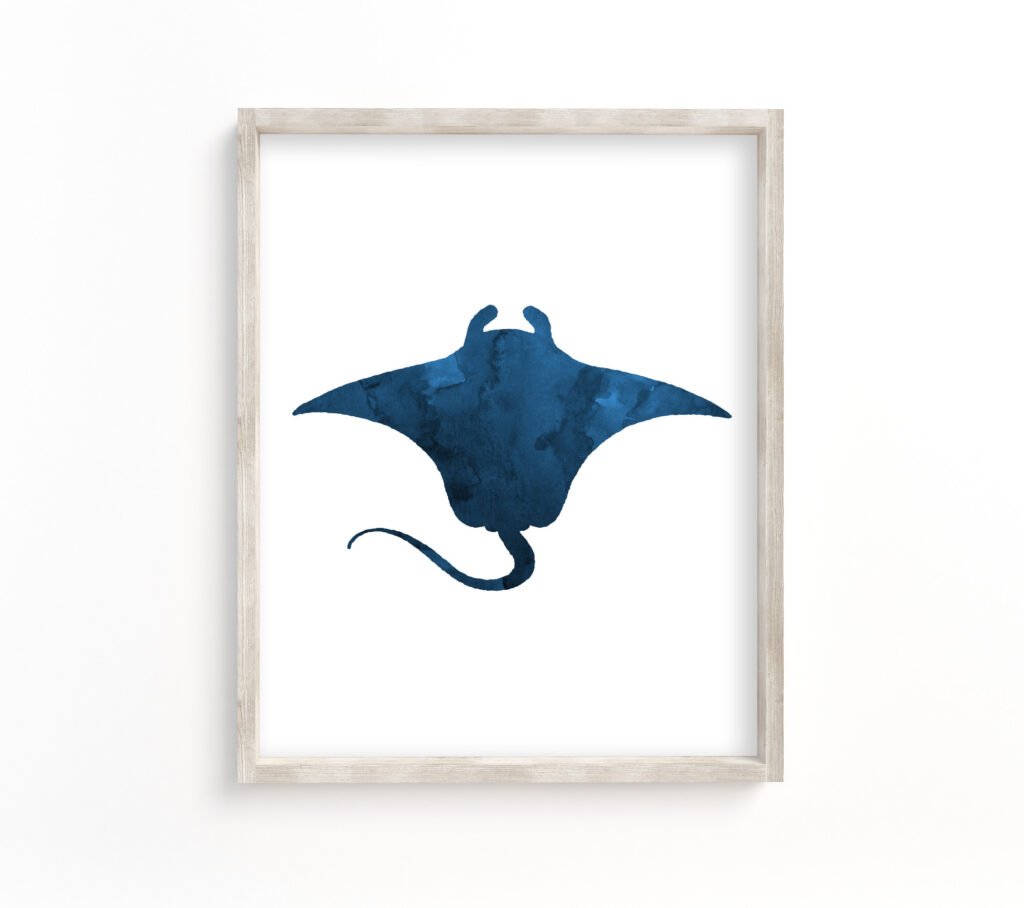 Manta Rey Art