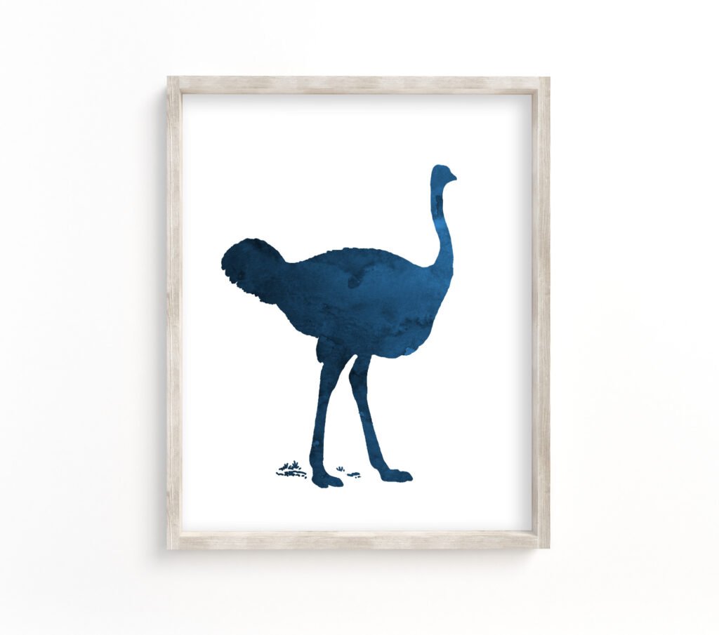 Blue Ostrich Wall Art, Navy Bird Pictures, African Bird Prints ...